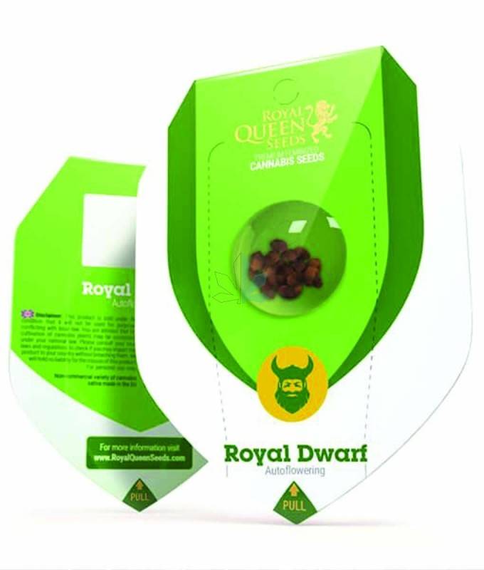 Royal Dwarf - Auto - Características + Venta + Opiniones | Ecomaria
