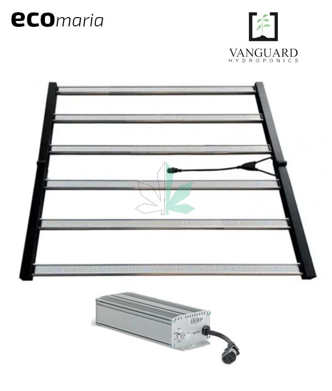 Sistema Magic King led 720w + Balastro vanguard