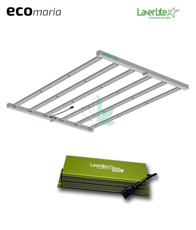 Led de cultivo - LAZERLITE 720W - Pure light