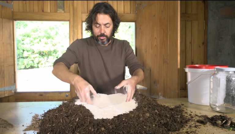 El Compostaje: Qué es, cómo hacerlo y para qué sirve | Ecomaria